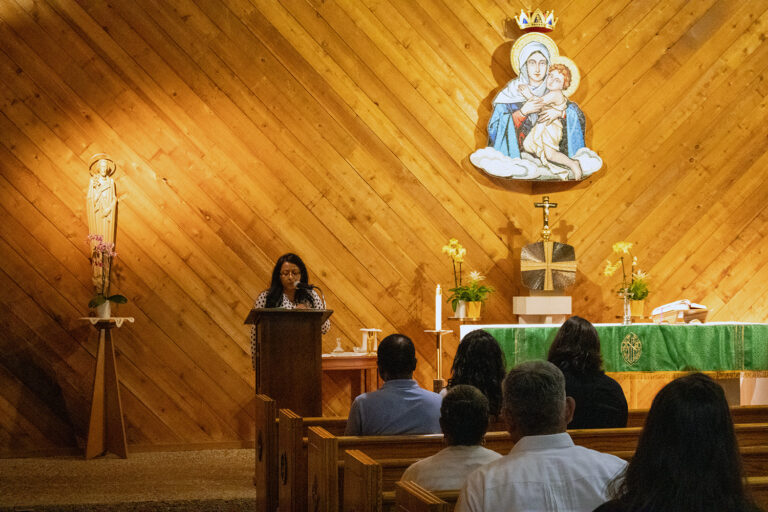 National Pastoral on the Laity: Give the US Bishops Your Input ...